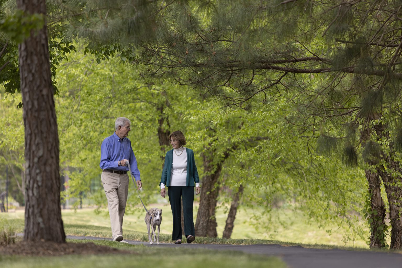 Dwell – Galloway Ridge at Fearrington