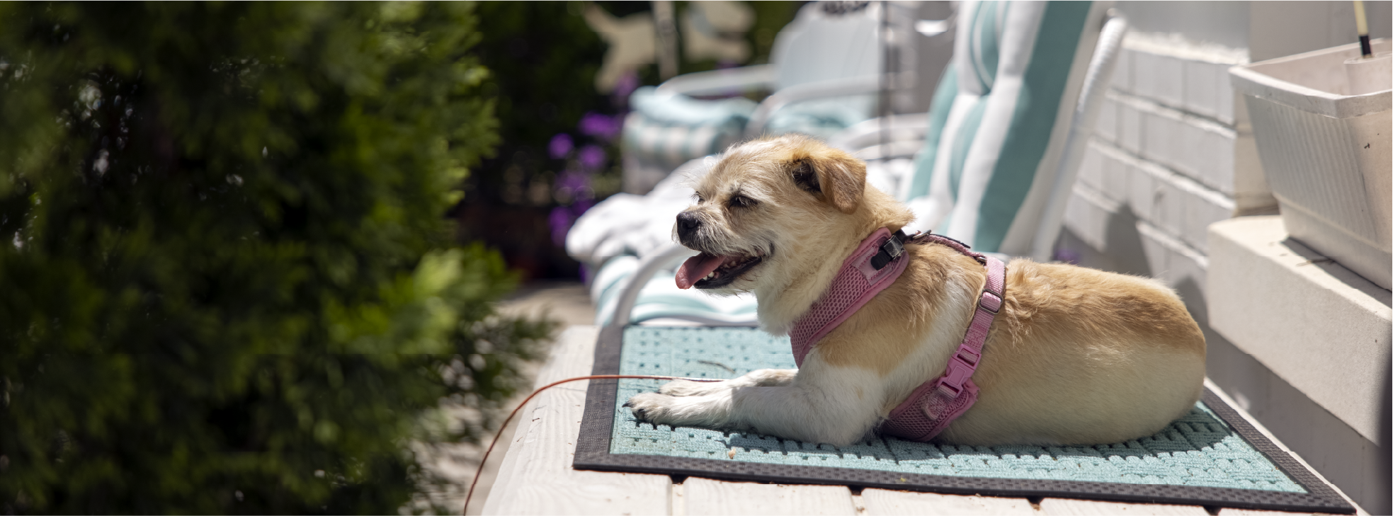 Amenities – Galloway Ridge at Fearrington