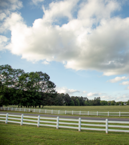 EXPLORE – Galloway Ridge at Fearrington