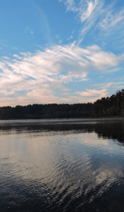 Around the Area – Galloway Ridge at Fearrington